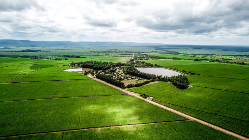 Tambankulu Club and Guesthouse Embraces CiMSO