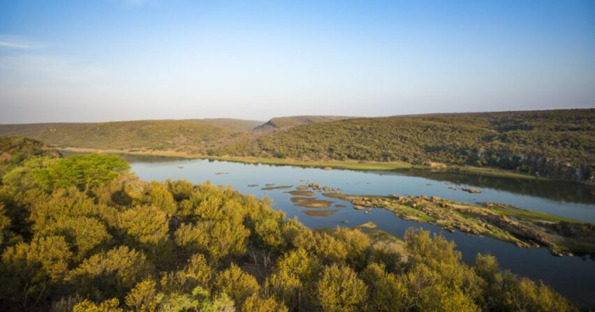 - Welcome to the CiMSO Family, Karingani Game Reserve!